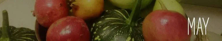 Pip Monthly Garden Guide | Pip Magazine - Sustainability and Permaculture