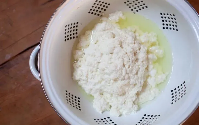 Gbejniet Recipe: Traditional Maltese Cheese | Pip Magazine